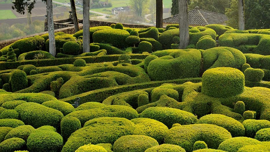 COP26: ESG and innovation of the 'Red Queen's garden' | Withers