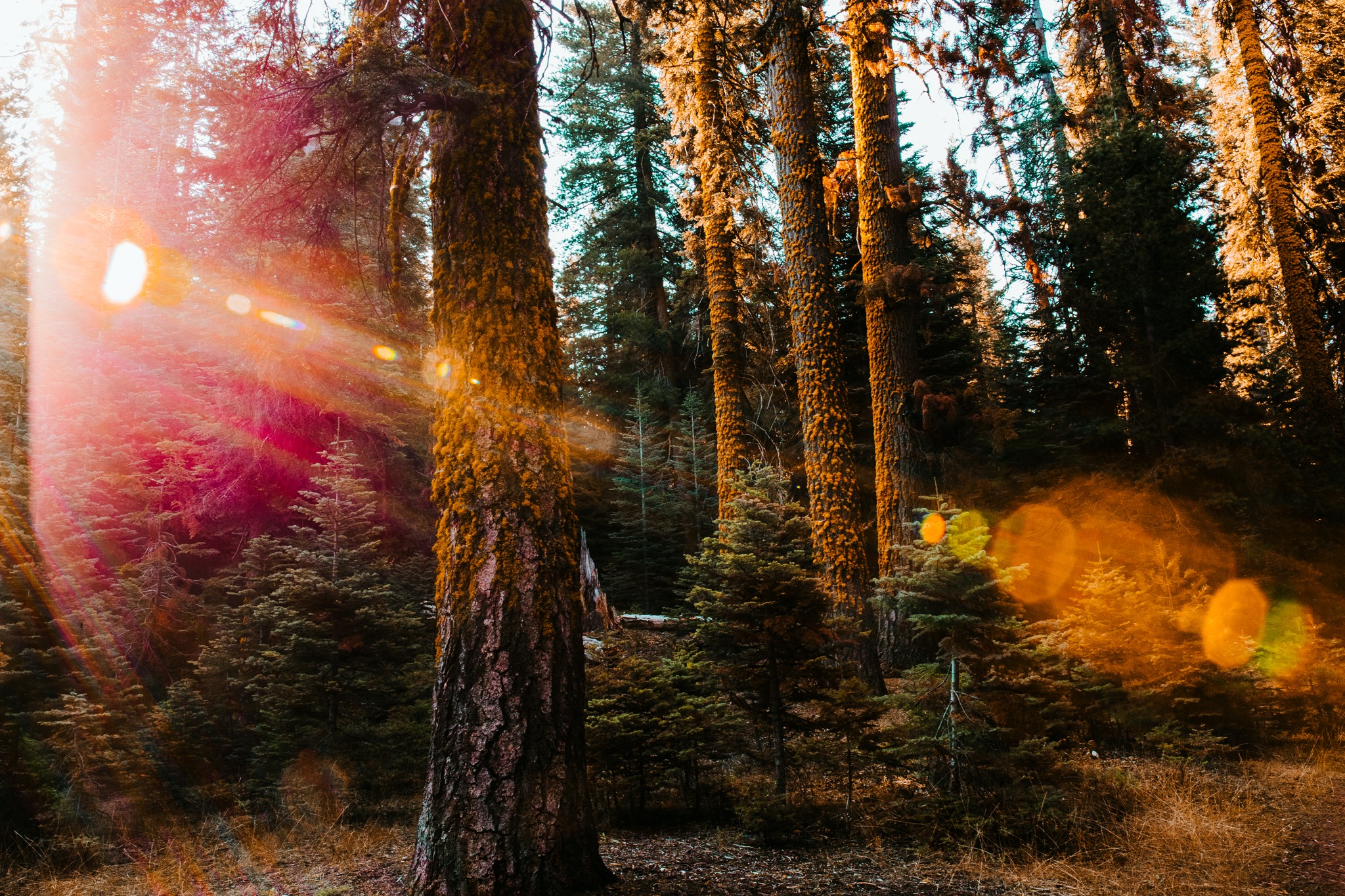 Withers stands out in Chambers UK 2022 guide with 12 top tier teams ...