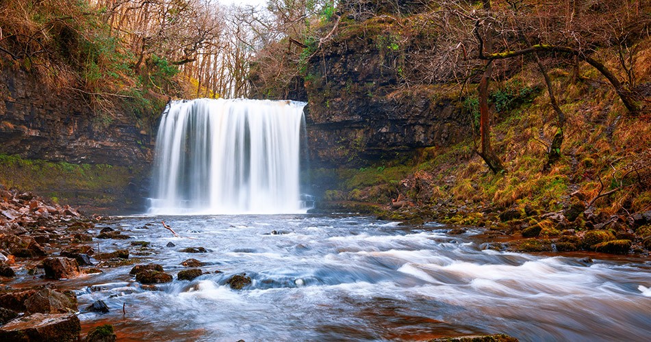 Rewilding in the UK countryside | Withers