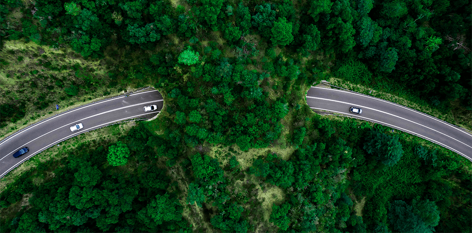 Climate change: Shell acquitted, but emissions must be reduced | Withers