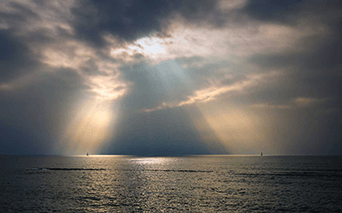 Success in probate dispute in estate of wealthy racehorse owner Reg ...