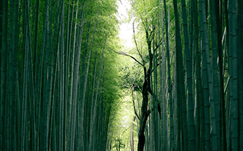 European regulator ESMA announces open hearing on its consultation on ...