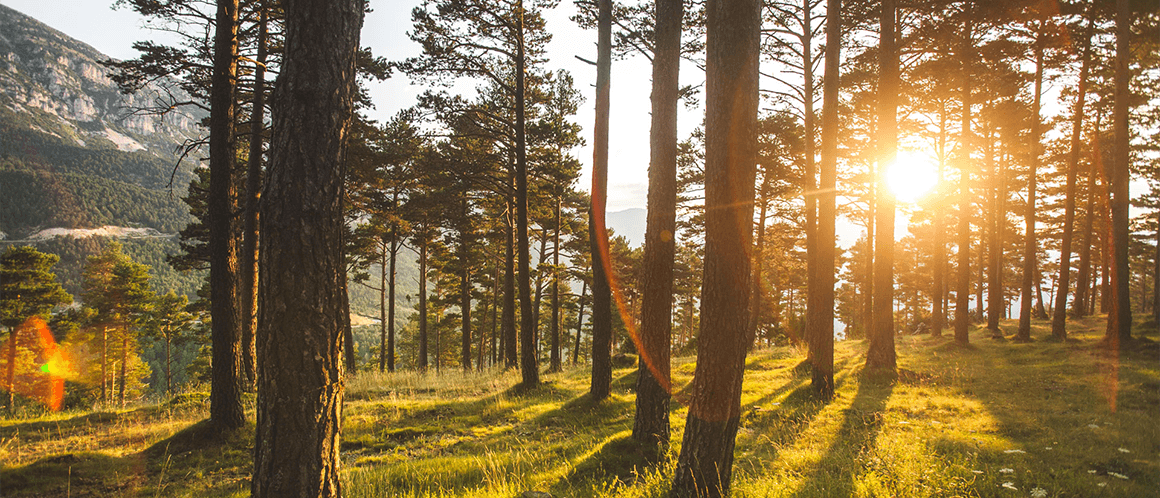 Insight | Withers